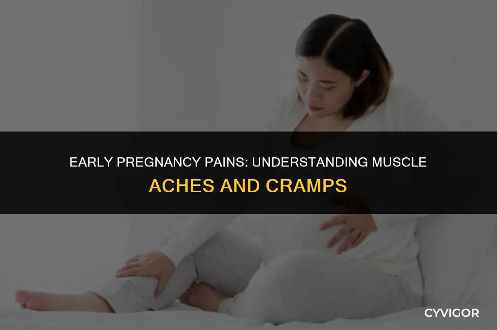 Early Pregnancy Pains: Understanding Muscle Aches And Cramps | CyVigor