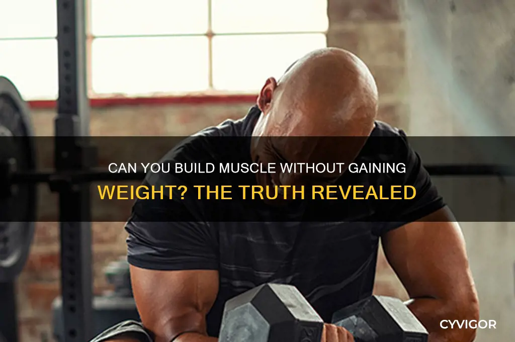 Can You Build Muscle Without Gaining Weight? The Truth Revealed | CyVigor