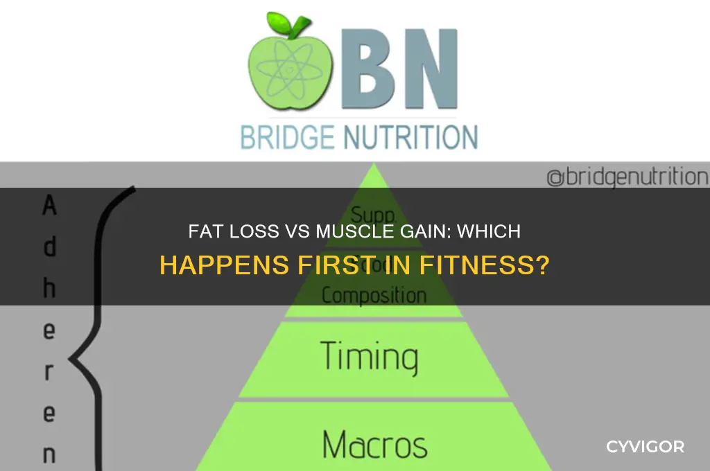 Fat Loss Vs Muscle Gain: Which Happens First In Fitness? | CyVigor