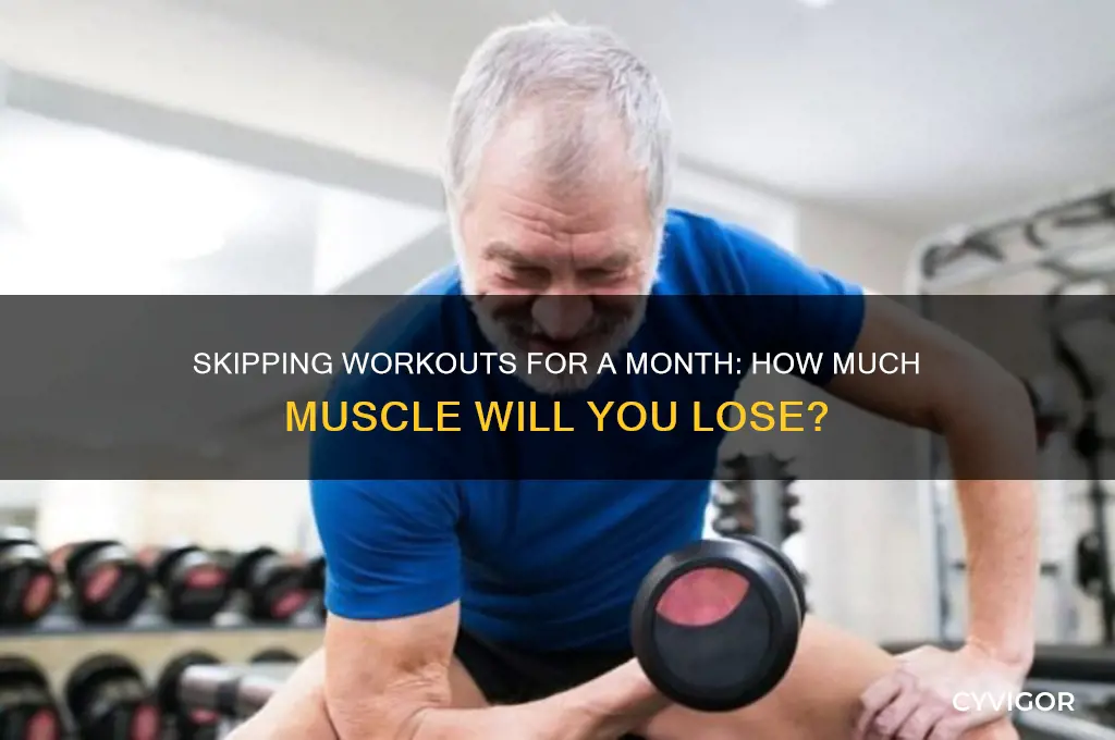 Skipping Workouts For A Month: How Much Muscle Will You Lose? | CyVigor