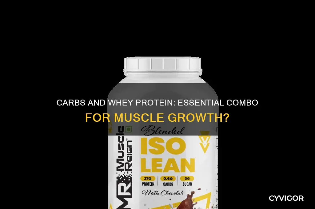 Carbs And Whey Protein: Essential Combo For Muscle Growth? | CyVigor