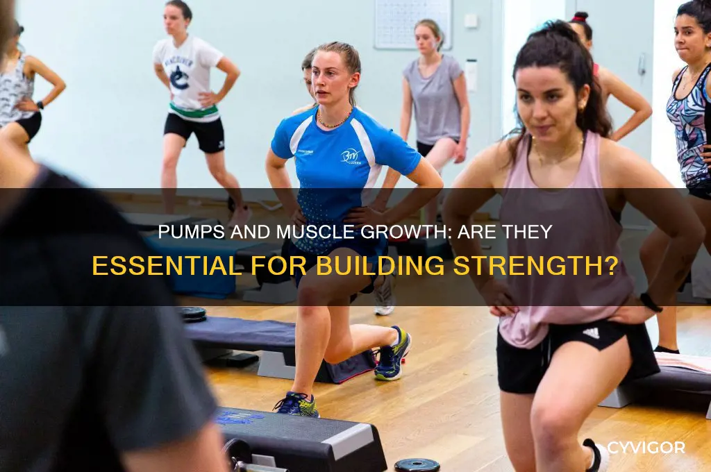 Pumps And Muscle Growth: Are They Essential For Building Strength ...