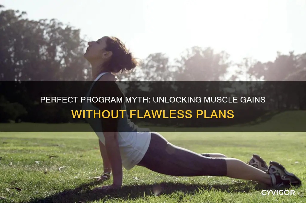 Perfect Program Myth: Unlocking Muscle Gains Without Flawless Plans ...