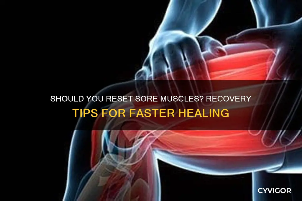Should You Reset Sore Muscles? Recovery Tips For Faster Healing | CyVigor