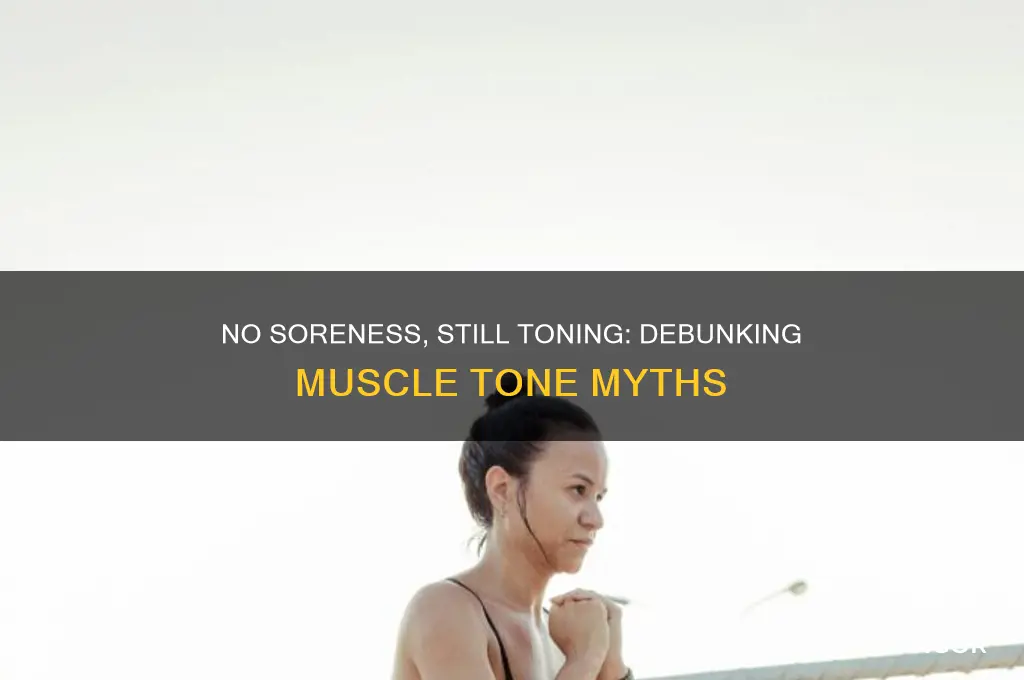 No Soreness, Still Toning: Debunking Muscle Tone Myths | CyVigor