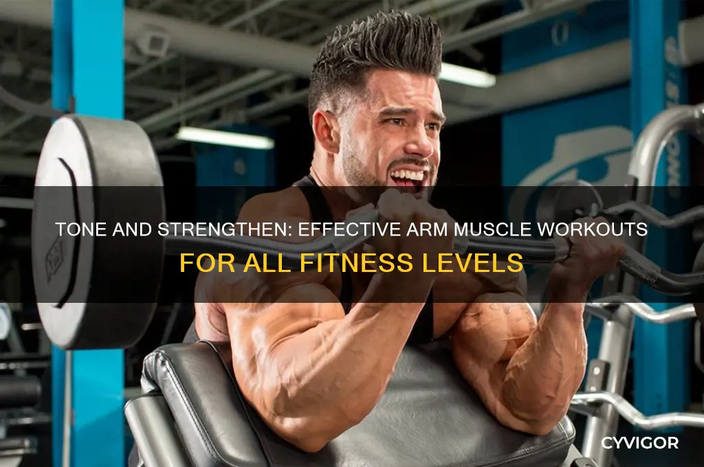Tone And Strengthen: Effective Arm Muscle Workouts For All Fitness ...