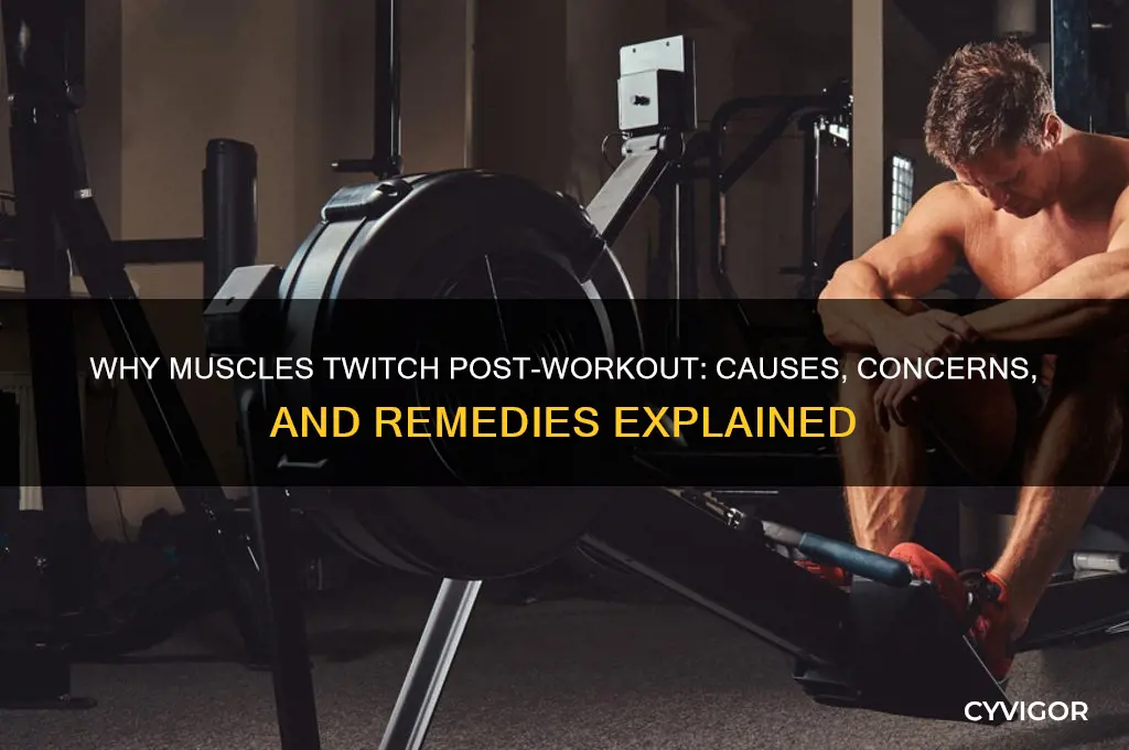 Why Muscles Twitch Post-Workout: Causes, Concerns, And Remedies ...