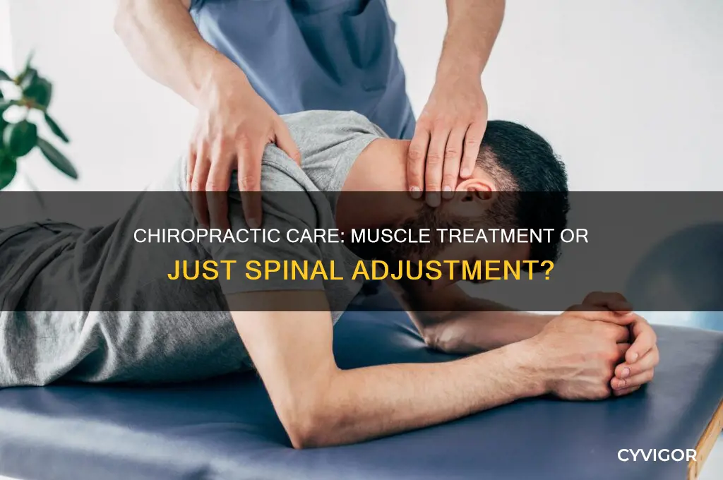 Chiropractic Care: Muscle Treatment Or Just Spinal Adjustment? | CyVigor