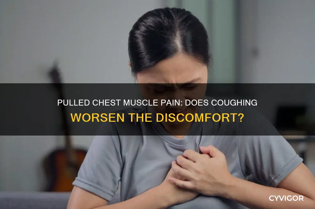 Pulled Chest Muscle Pain: Does Coughing Worsen The Discomfort? | CyVigor