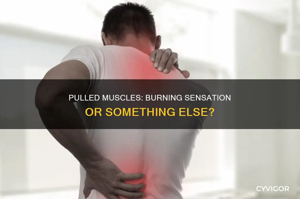 Pulled Muscles: Burning Sensation Or Something Else? | CyVigor
