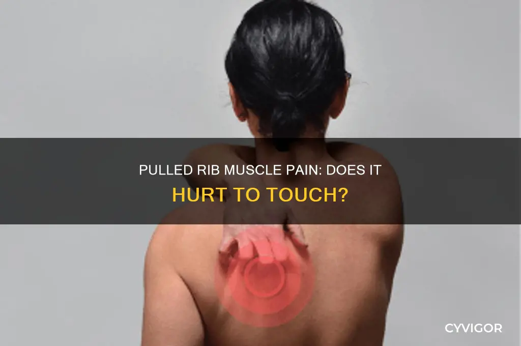 Pulled Rib Muscle Pain: Does It Hurt To Touch? | CyVigor