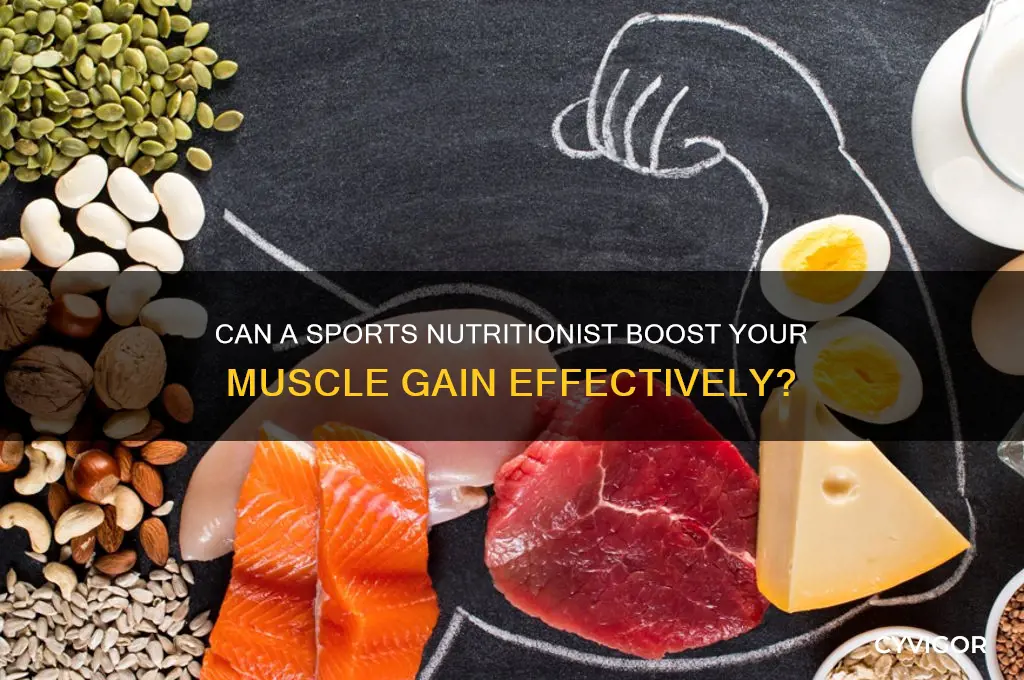 Can A Sports Nutritionist Boost Your Muscle Gain Effectively? | CyVigor