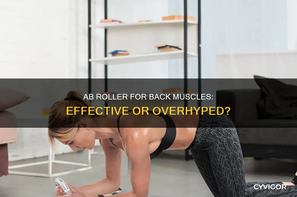 Ab Roller For Back Muscles: Effective Or Overhyped? | CyVigor