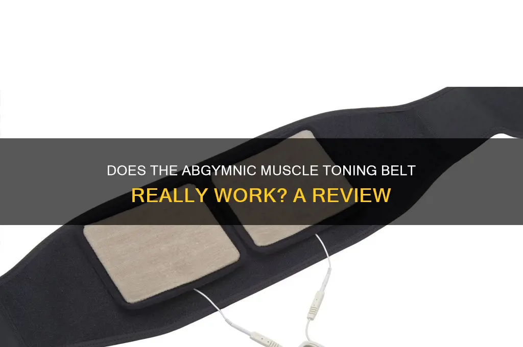 Does The Abgymnic Muscle Toning Belt Really Work? A Review | CyVigor