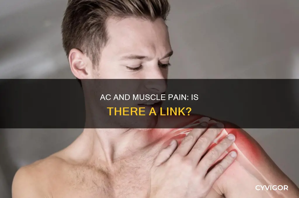 Ac And Muscle Pain: Is There A Link? | CyVigor