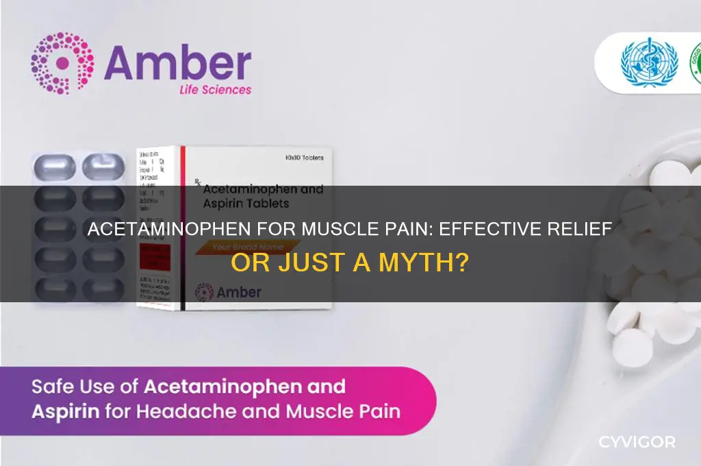 Acetaminophen For Muscle Pain: Effective Relief Or Just A Myth? | CyVigor