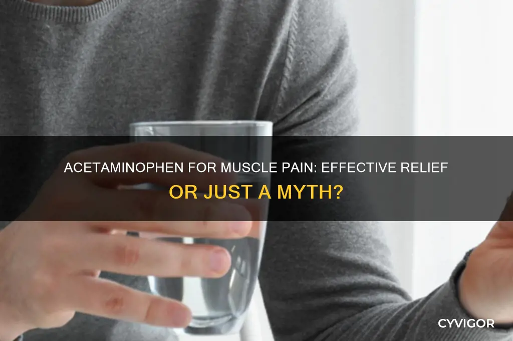 Acetaminophen For Muscle Pain: Effective Relief Or Just A Myth? | CyVigor