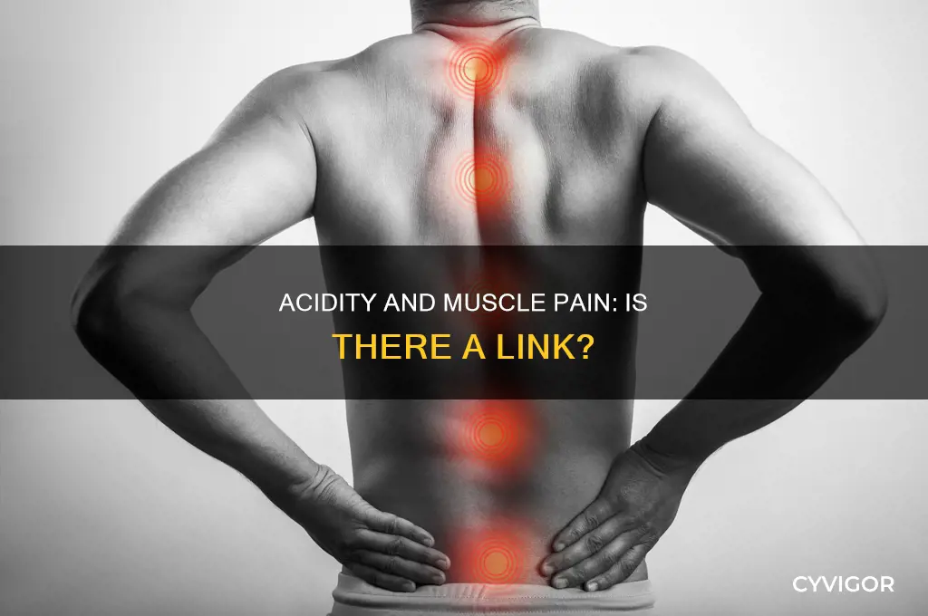Acidity And Muscle Pain: Is There A Link? | CyVigor