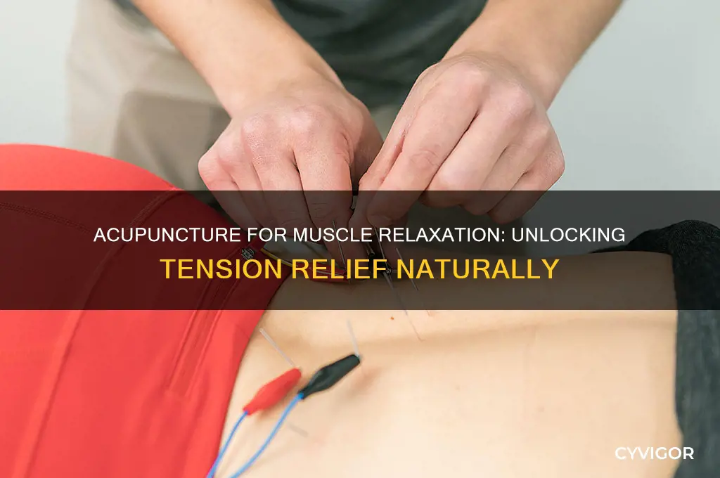 Acupuncture For Muscle Relaxation: Unlocking Tension Relief Naturally ...