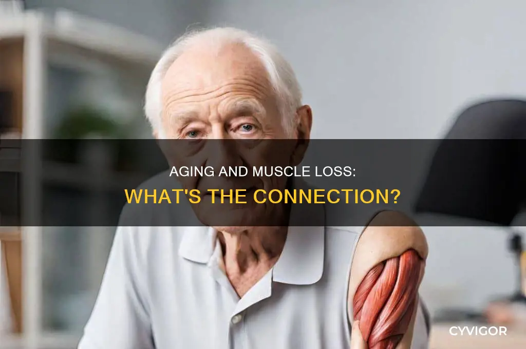 Aging And Muscle Loss: What's The Connection? | CyVigor