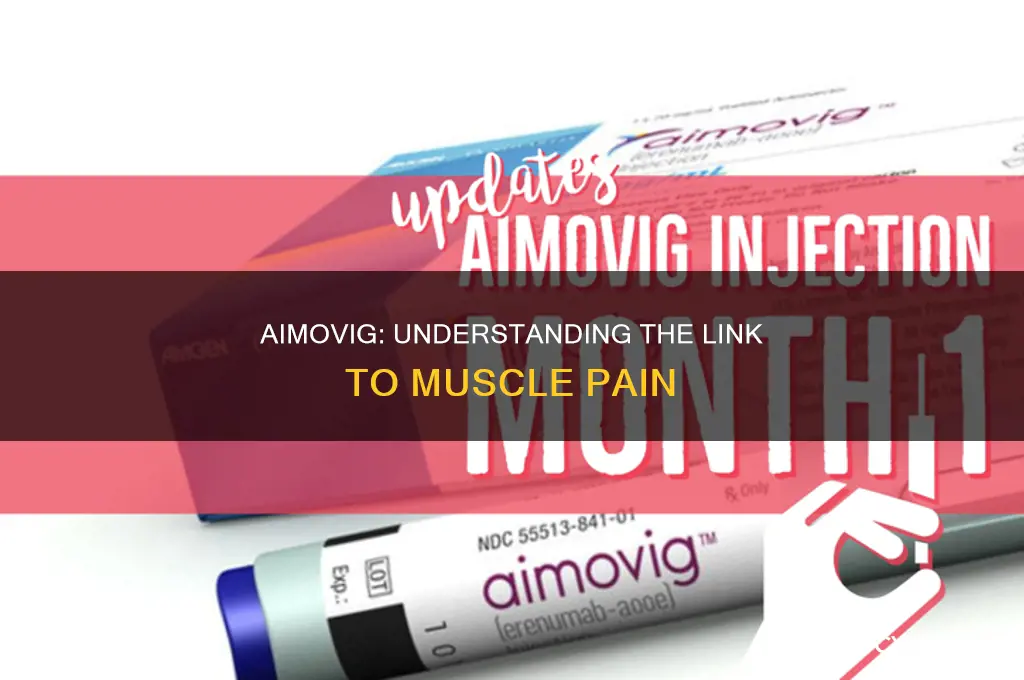 Aimovig: Understanding The Link To Muscle Pain | CyVigor