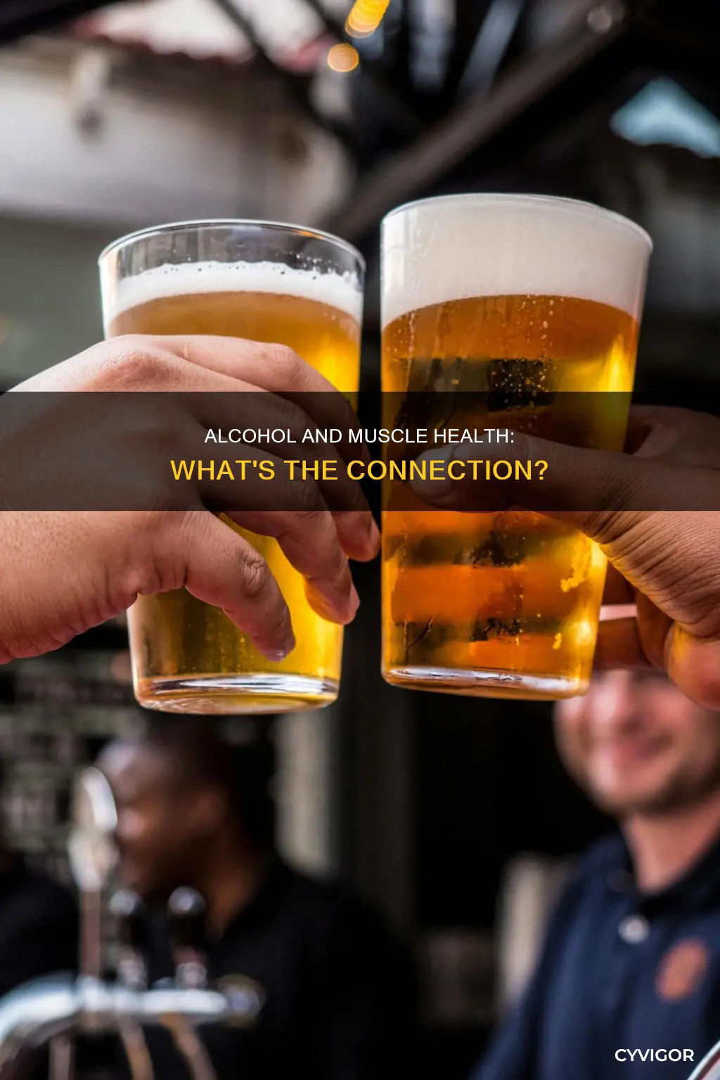 Alcohol And Muscle Health: What's The Connection? | CyVigor