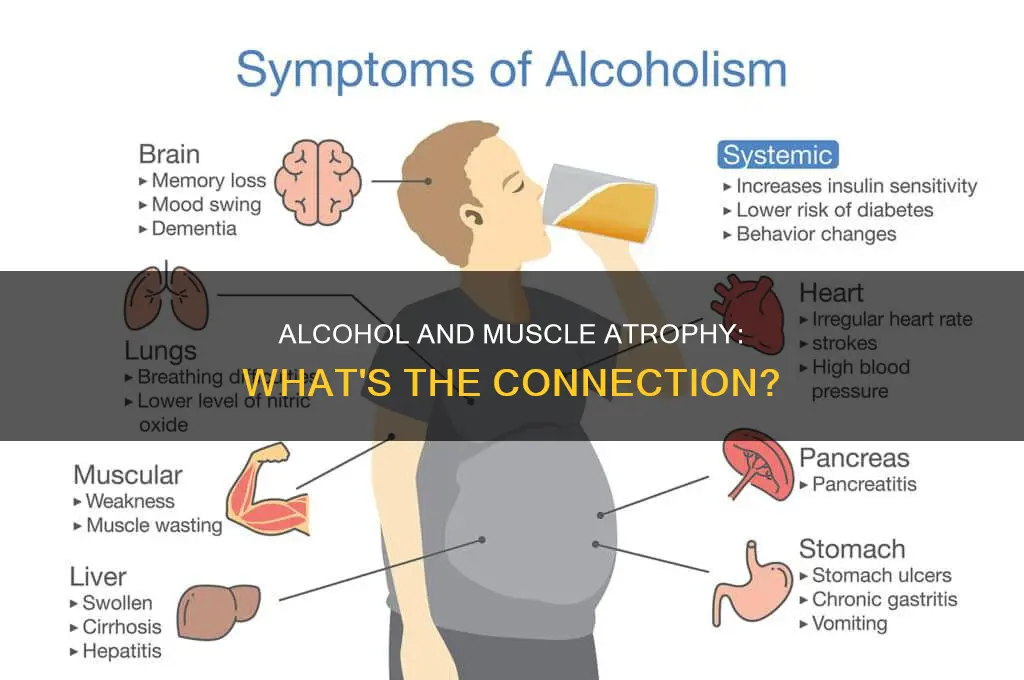 Alcohol And Muscle Atrophy: What's The Connection? | CyVigor
