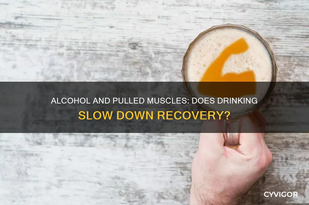 Alcohol And Pulled Muscles: Does Drinking Slow Down Recovery? | CyVigor