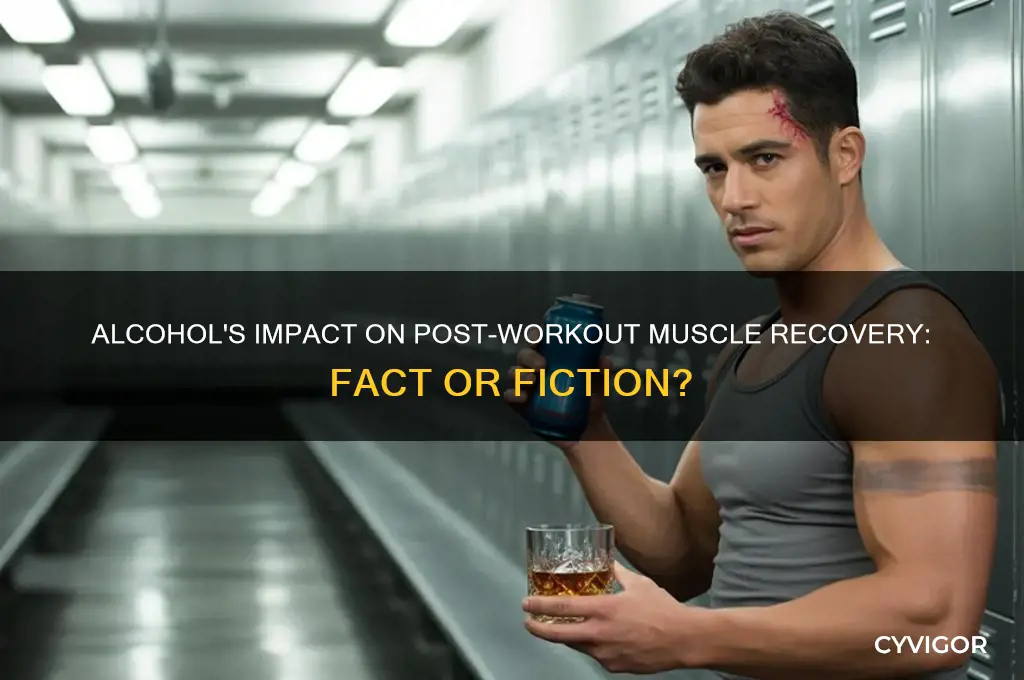 Alcohol's Impact On Post-Workout Muscle Recovery: Fact Or Fiction ...