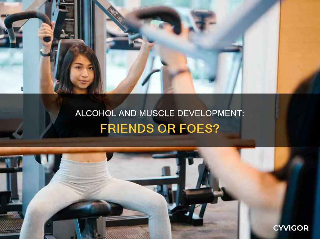 Alcohol And Muscle Development: Friends Or Foes? | CyVigor