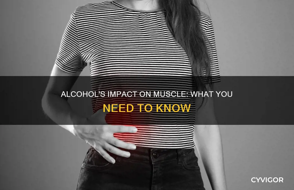 Alcohol's Impact On Muscle: What You Need To Know | CyVigor