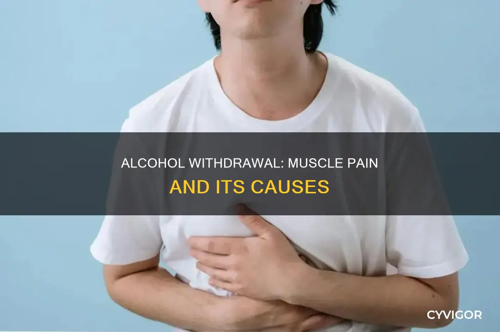 Alcohol Withdrawal: Muscle Pain And Its Causes | CyVigor