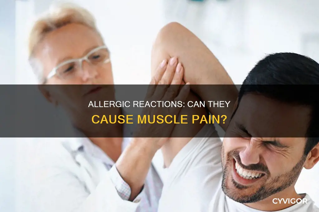 Allergic Reactions: Can They Cause Muscle Pain? | CyVigor