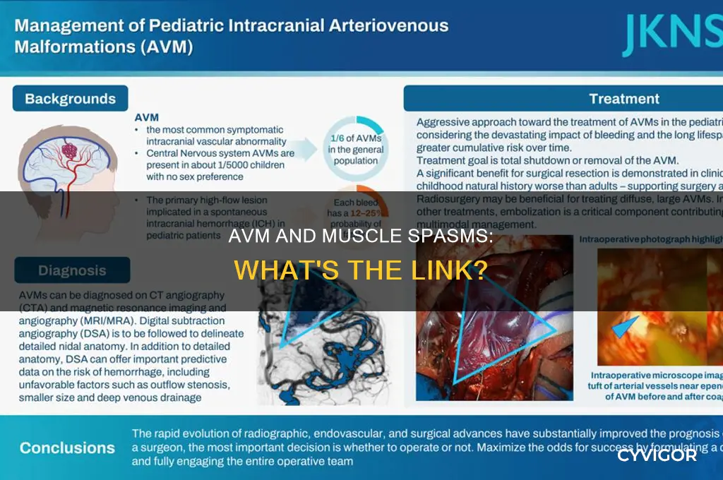 Avm And Muscle Spasms: What's The Link? | CyVigor