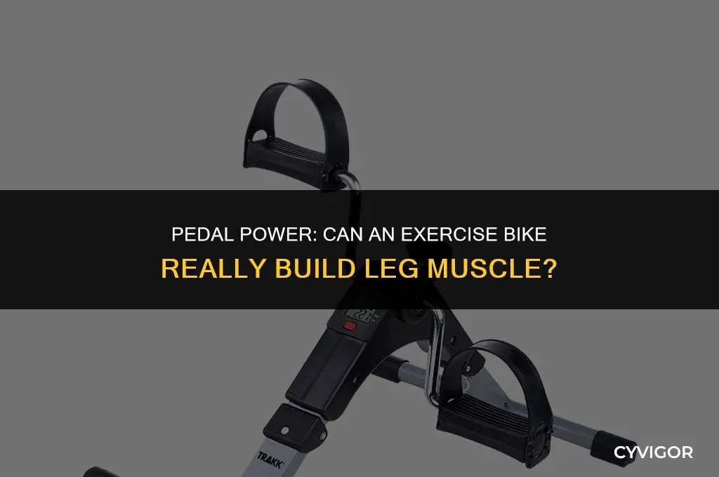 Pedal Power: Can An Exercise Bike Really Build Leg Muscle? | CyVigor