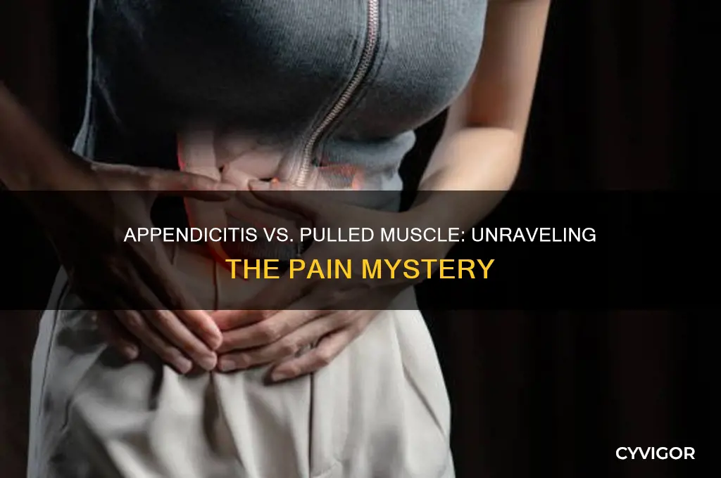 Appendicitis Vs. Pulled Muscle: Unraveling The Pain Mystery | CyVigor