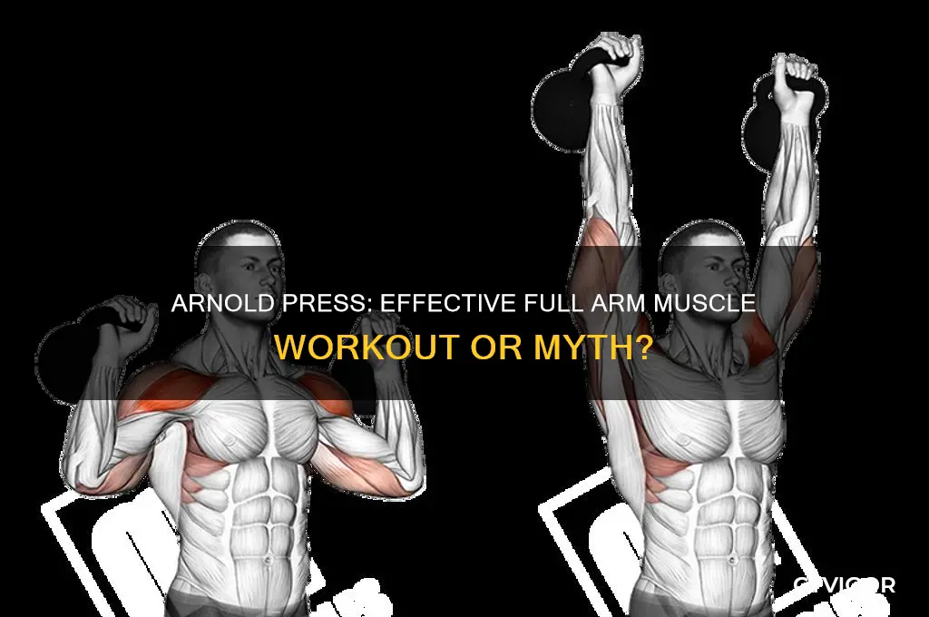 Arnold Press: Effective Full Arm Muscle Workout Or Myth? | CyVigor