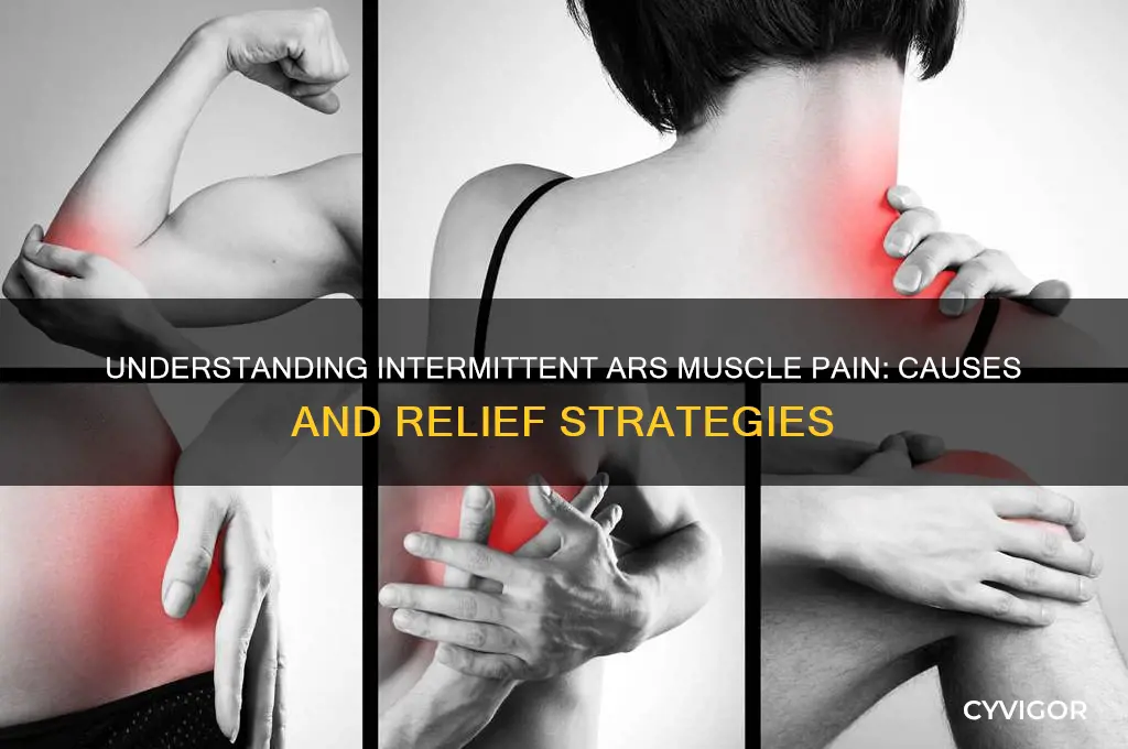 Understanding Intermittent Ars Muscle Pain: Causes And Relief ...