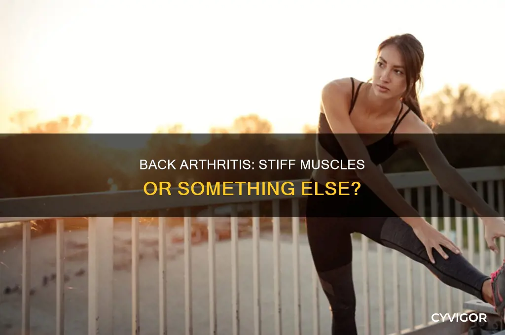 Back Arthritis: Stiff Muscles Or Something Else? | CyVigor