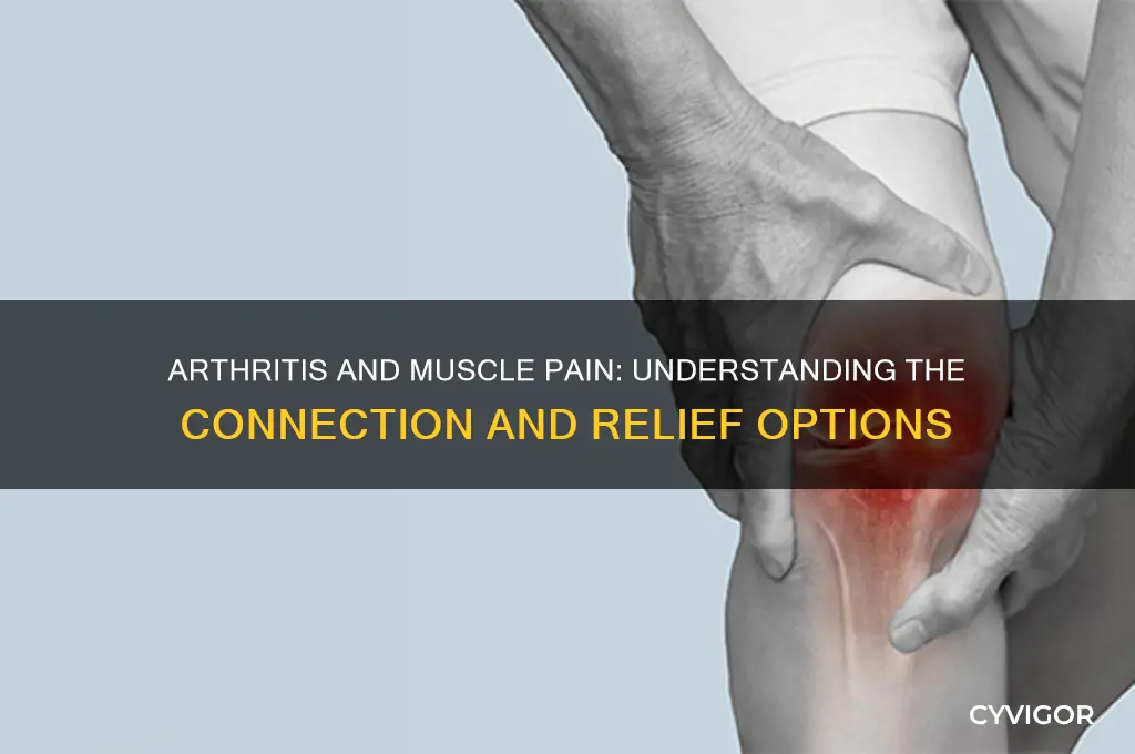 Arthritis And Muscle Pain: Understanding The Connection And Relief ...