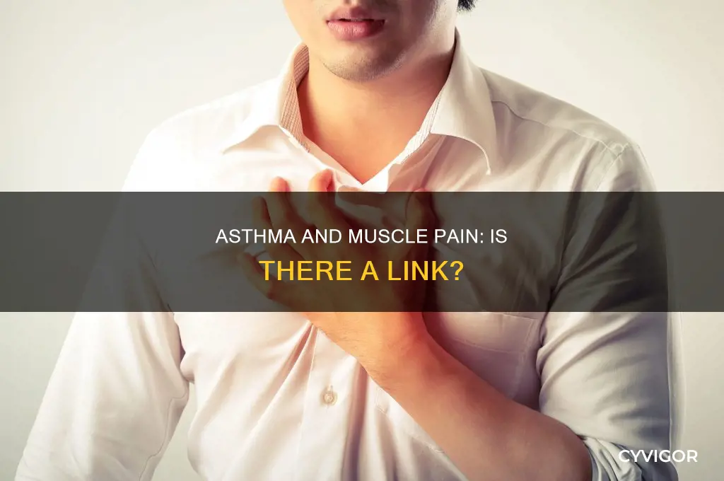 Asthma And Muscle Pain: Is There A Link? | CyVigor