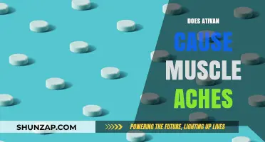 B12 Deficiency And Muscle Twitching: What's The Link? | CyVigor