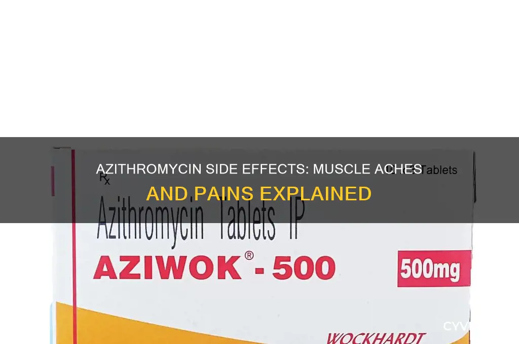 Azithromycin Side Effects: Muscle Aches And Pains Explained | CyVigor