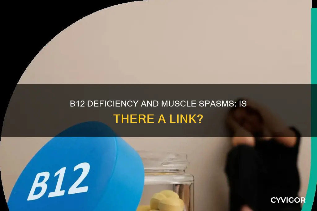 B12 Deficiency And Muscle Spasms: Is There A Link? | CyVigor