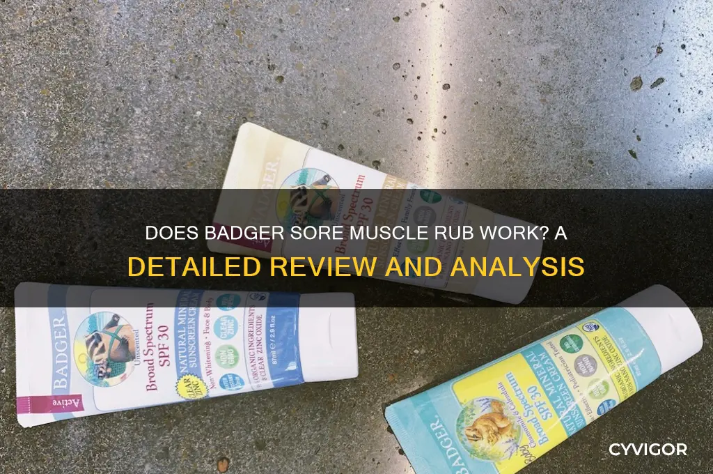 Does Badger Sore Muscle Rub Work? A Detailed Review And Analysis | CyVigor