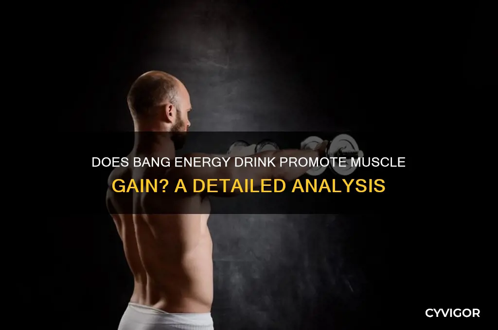 Does Bang Energy Drink Promote Muscle Gain? A Detailed Analysis | CyVigor