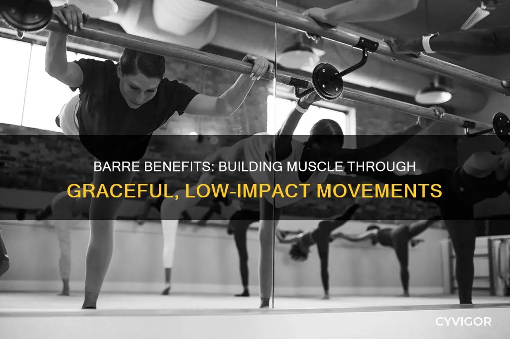 Barre Benefits: Building Muscle Through Graceful, Low-Impact Movements ...