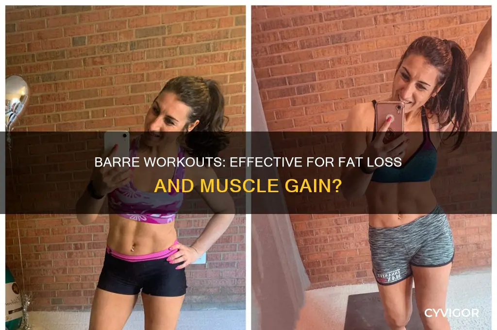 Barre Workouts: Effective For Fat Loss And Muscle Gain? | CyVigor