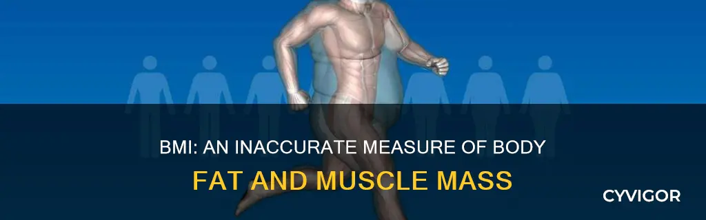 Bmi: An Inaccurate Measure Of Body Fat And Muscle Mass | CyVigor