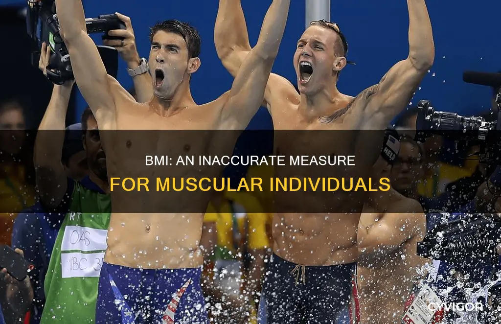 Bmi: An Inaccurate Measure For Muscular Individuals | CyVigor